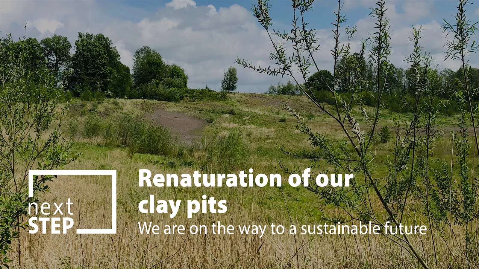 Renaturation of our clay pits | Leca International