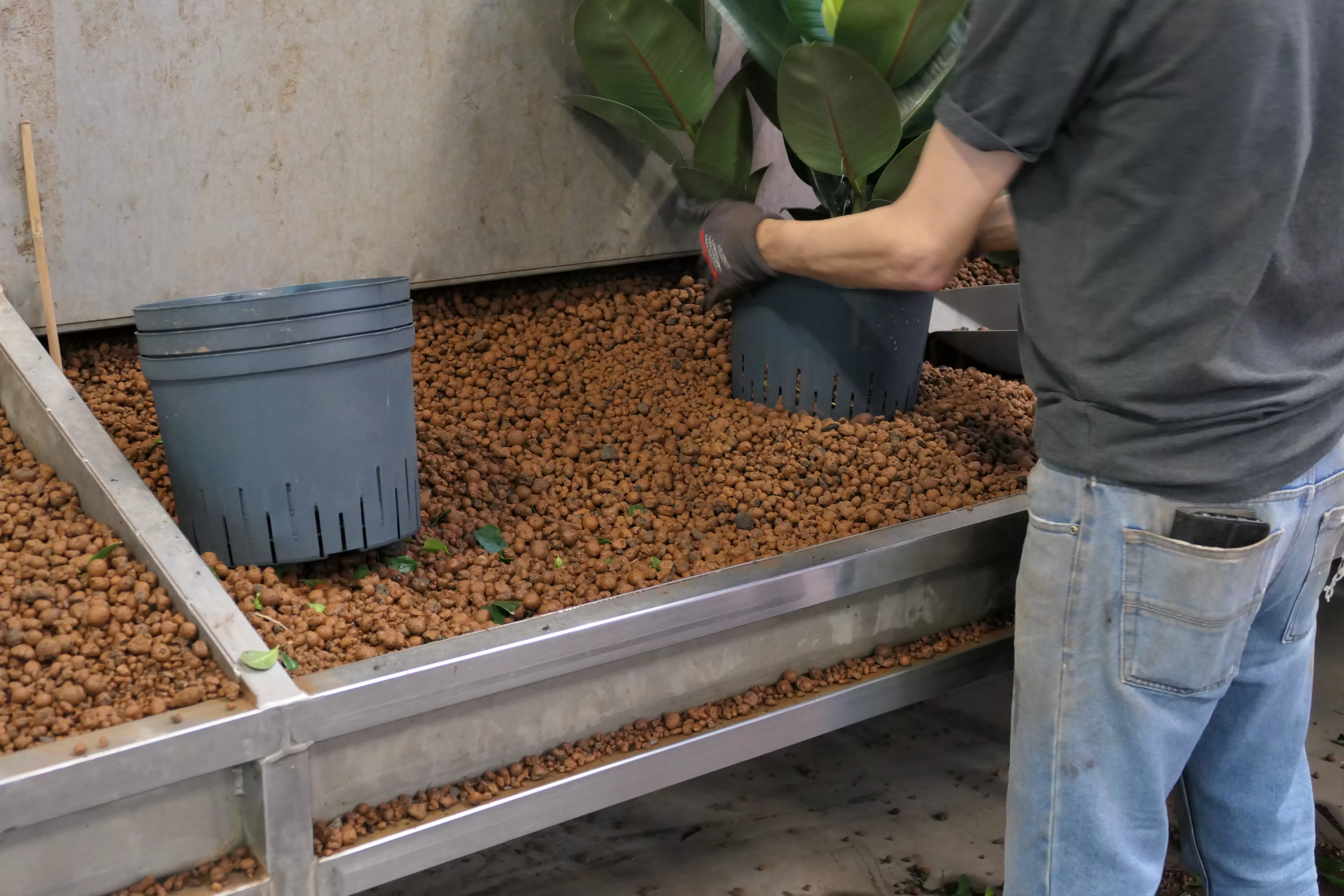 Interview with Thom Schonk, Nieuwkoop Europe B.V. | Leca International