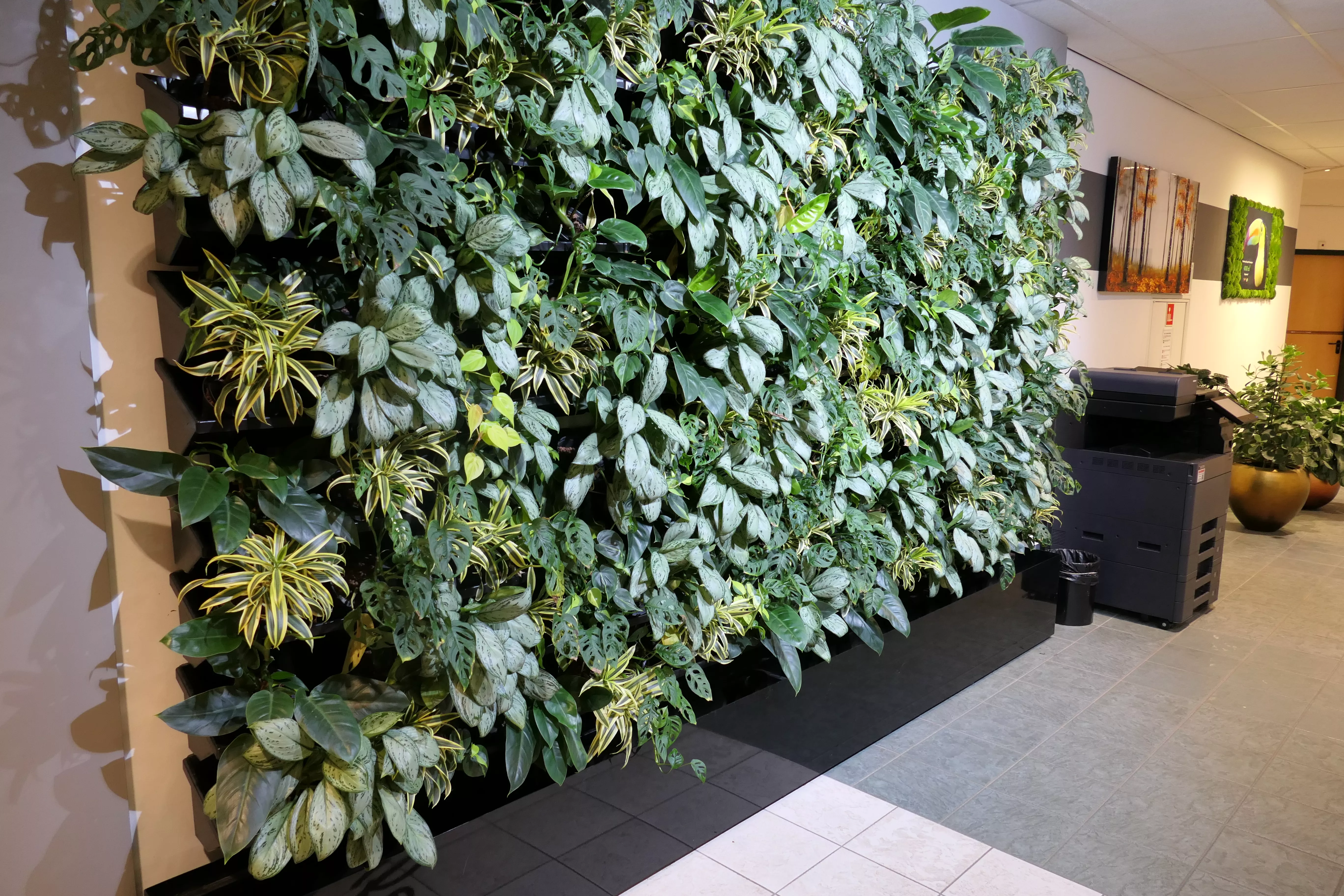 Interview with Thom Schonk, Nieuwkoop Europe B.V. | Leca International