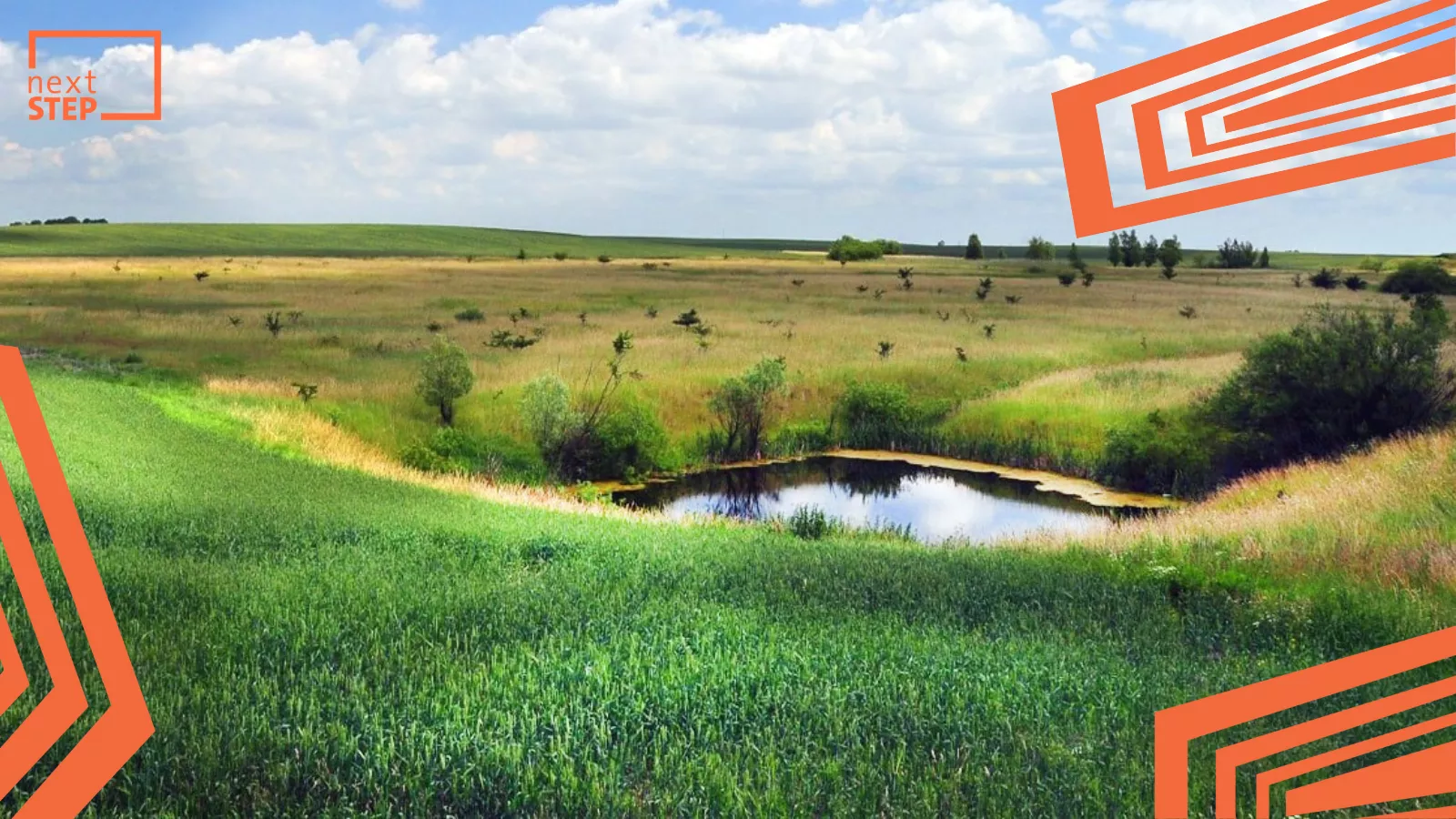 Renaturation of our clay pits | Leca International